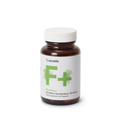 What are prebiotics, and how do you best consume them? | Greatlife.eu